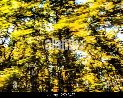 Image of blurred trees taken from moving vehicle - France Stock Photo ...