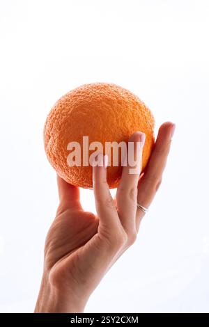 Female hands holding oranges. Illustration of orange-peel skin ...