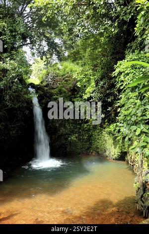 Apsara Falls Gokarna Karnataka India Asia Stock Photo - Alamy