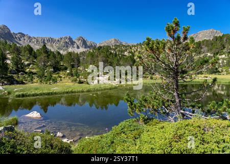 Primer Estany of the Pessons lakes in Andorra, Pyrenees Stock Photo - Alamy