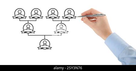 Man drawing family tree on white background. Scheme with human figures ...
