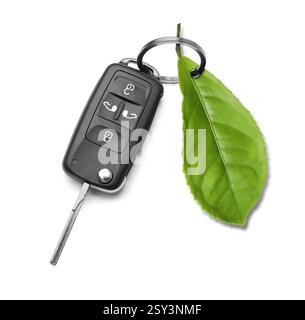 Car key with green leaf, isolated on white Stock Photo - Alamy