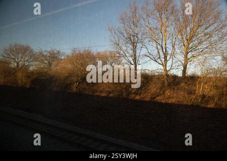 Copenhagen, Denmark. 18th Feb, 2025. Odense Station (Odense Banegård ...