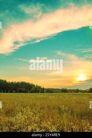 Vertical shot of a beautiful landscape with a farmland under a cloudy ...