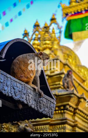 Swoyambhu Stupa (Monkey temple), Kathmandu, Nepal, Asia Stock Photo - Alamy
