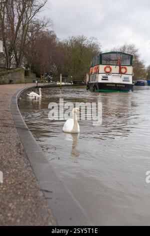 London, UK. 14 January 2023. Protest to demand closure of Guantanamo ...