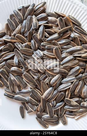 Still life of sunflower seeds, USA, 2025 Stock Photo - Alamy