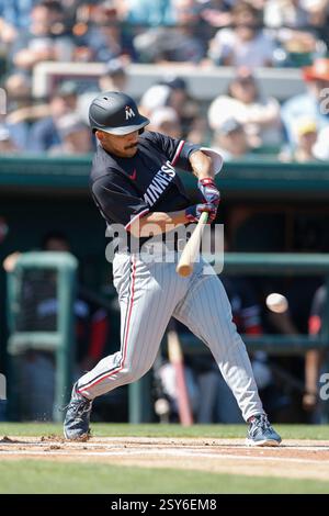 Minnesota Twins Mickey Gasper (11) at bat during an MLB Spring Training ...
