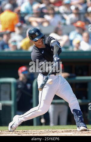 Detroit Tigers' Dillon Dingler (13) is greeted by Zach McKinstry, right ...