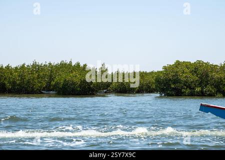Exploring the Saloum River Delta in Senegal Stock Photo - Alamy