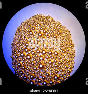 Microscopic air bubbles with creative illumination Stock Photo - Alamy