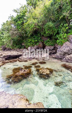 Stunning beach views at Magpupungko Rock Pool and Flats in Siargao ...