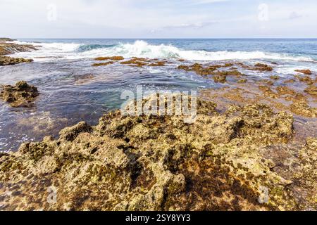 Beach with sharp coralline rocks in Siargao, Philippines, showcasing ...