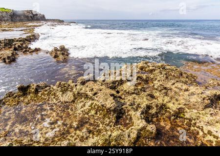 Beach with sharp coralline rocks in Siargao, Philippines, showcasing ...