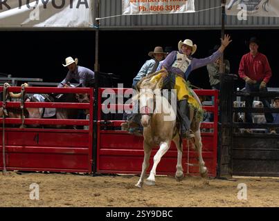 Man riding bull at the 2025 Allora show Rodeo Stock Photo - Alamy