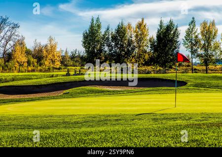 Scenic Grassy Golf Course Green and Flag Stock Photo - Alamy
