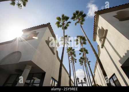 Palm trees frame a shopping center in the urban center of downtown Bell ...