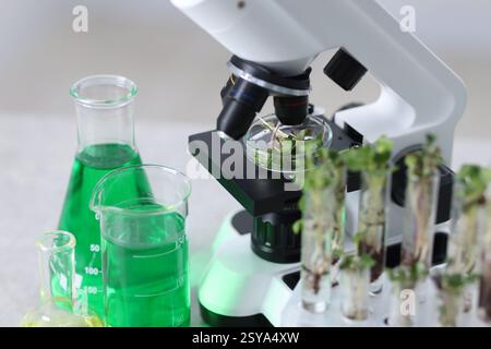 Biochemistry. Microscope, glassware with liquids and plants on white ...