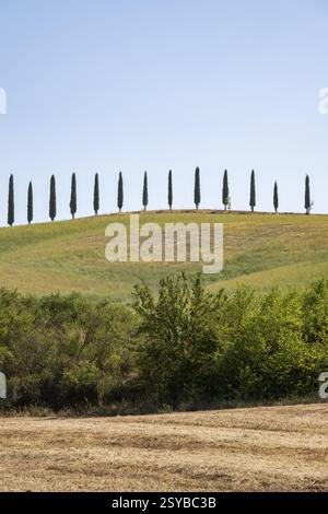 Cypress trees standing on top of a hill, Unesco world heritage site ...
