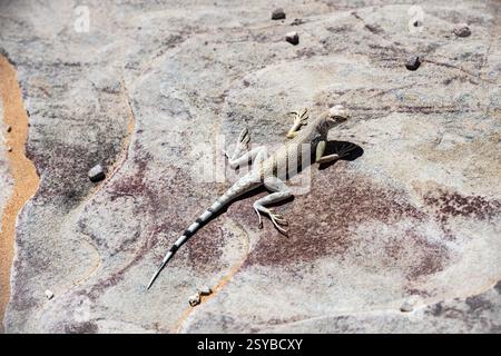 A small fire on the sandy river bank close-up Stock Photo - Alamy