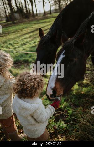 Two children interacting with horses on a sunny countryside farm Stock ...