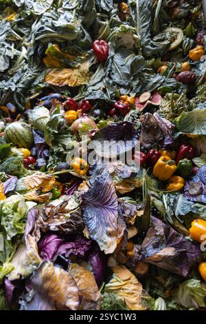 Surplus food, expired fruit and spoiled, overdue vegetables from shops ...