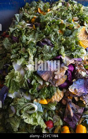 Surplus food, expired fruit and spoiled, overdue vegetables from shops ...