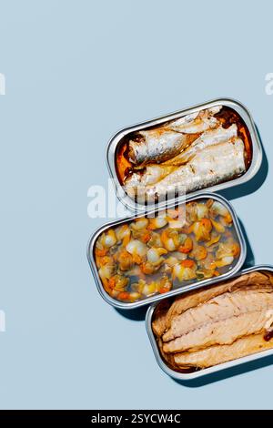 Canned tuna in different cans on a grey background with space for your ...