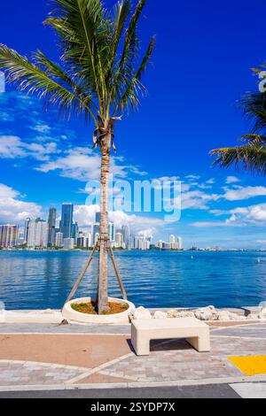 Miami key biscayne park overlooking Brickell 2025 Stock Photo - Alamy