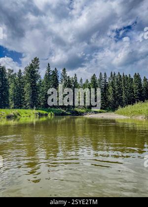 A river calm surrounded by the dense forest with the pink sunset in the ...