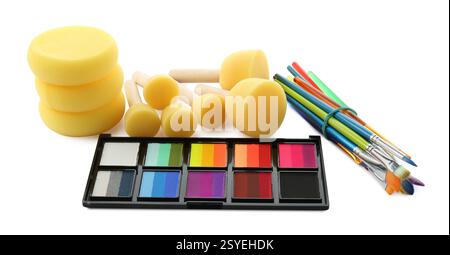 Bright face paint palette, brushes and sponges isolated on white Stock ...