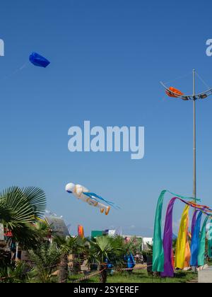 Kite Festival. Entertainment and hobbies. Windy weather. Resort coast ...