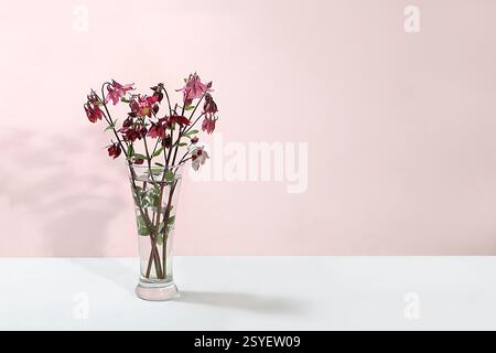 Vase with beautiful flowers and text WOMEN'S HISTORY MONTH on light ...