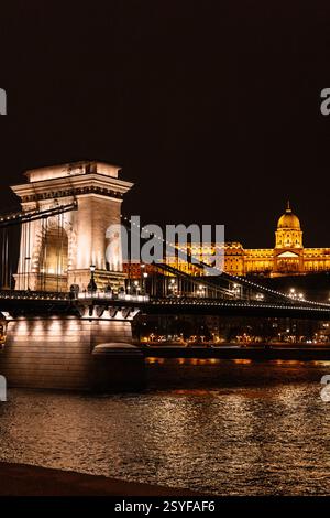 02-17-2025, Budapest. vertical St. Stephen's Basilica in Budapest ...