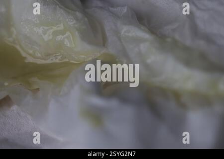 Phlegm macro close up mucus in napkin. Sick and rundown with a cold ...