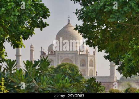 Taj Mahal/ A Serene View of India's Iconic Monument Stock Photo - Alamy