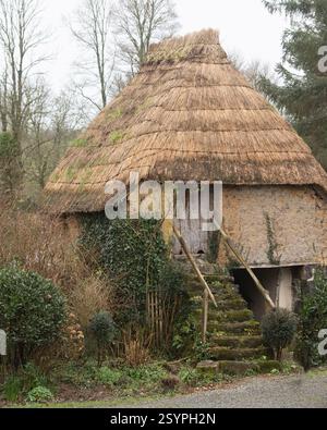 Old Barn with thatched roof on a country farm. Scandinavia. Northern ...