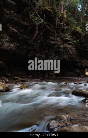 This image captures a fast-flowing river rushing over a rocky bed ...