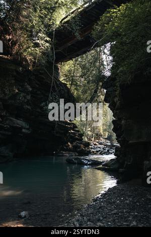 An ancient, weathered bridge spans a deep gorge, with dense forest on ...
