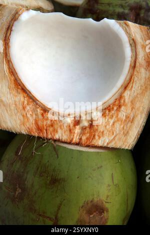 Coconut Water with Pulp Stock Photo - Alamy