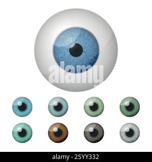 Realistic Vector Isolated Round Eyeballs Set With Various Pupil Colors ...