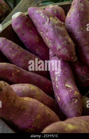 purple sweet potato in natura on wooden platter Stock Photo - Alamy
