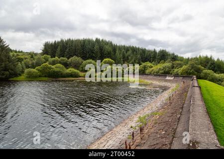 carron valley reservoir Stirlingshire Scotland" "crossbill" "carron ...