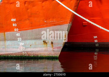 Ship's bow showing signs of deterioration with rust and parasites ...