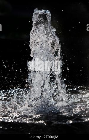 Backlit Kochbrunnen jumper, jumping hot sodium chloride thermal spring ...