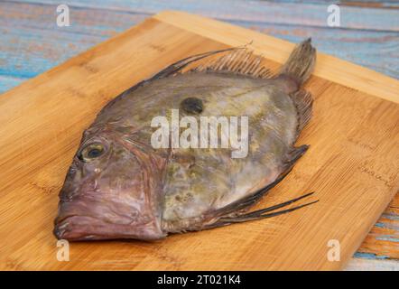 Saint-Pierre Seafish, Zeus Faber, John Dory, Pez de San Pedro, fish ...