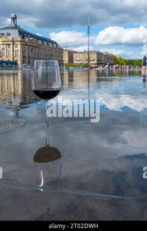 Aerial view, left bank Gironde Estuary, green vineyards, red Cabernet ...
