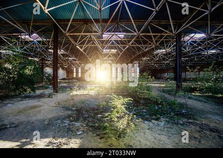 Old ruined industrial building overgrown by green moss and plants Stock ...
