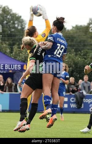 Brighton and Hove Albion goalkeeper Sophie Baggaley during the Barclays ...