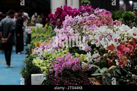 The Dounan flower market is crowded with people during the Mid-Autumn ...